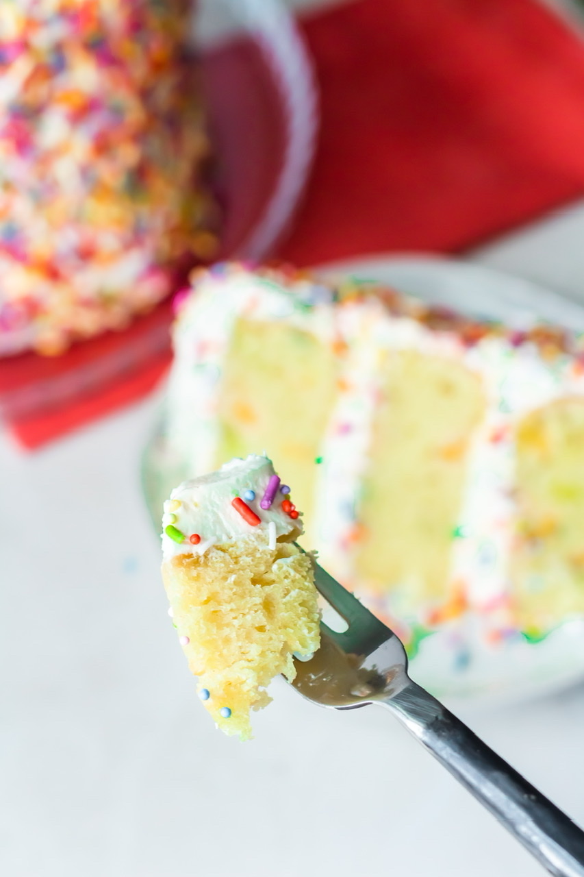The Ultimate Vegan Funfetti Cake – Big Box Vegan