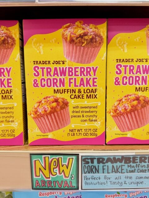 When Vegan Icons Walk Away and What It Means for You – Big Box Vegan